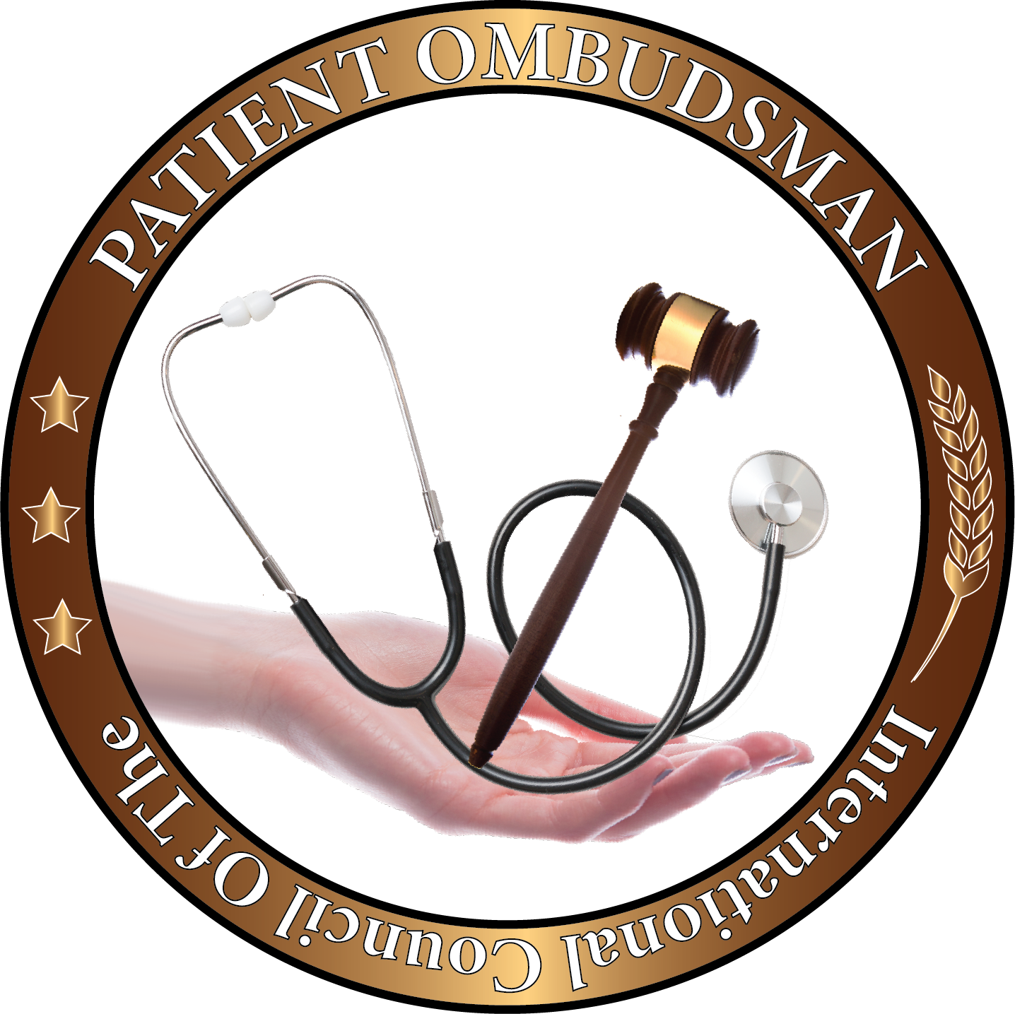 Preparatory bodies - International Council of The Patient Ombudsman